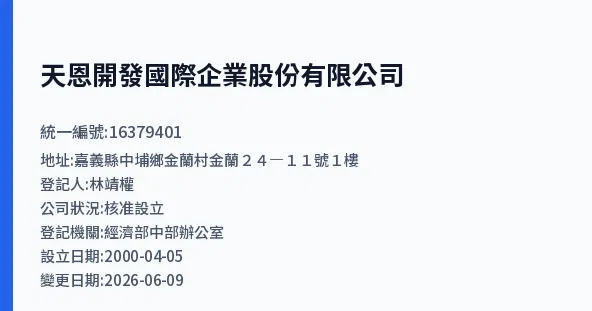 天恩開發國際企業股份有限公司的照片-統編 16379401(嘉義縣) 公司登記資料與營業項目詳細圖表