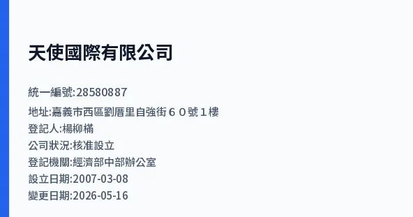 天使國際有限公司的照片-統編 28580887(嘉義市) 公司登記資料與營業項目詳細圖表