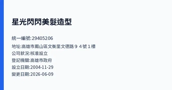 星光閃閃美髮造型的照片-統編 29405206(高雄市) 公司登記資料與營業項目詳細圖表