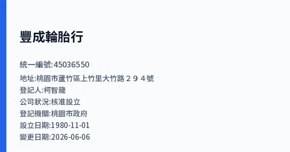 豐成輪胎行的照片-統編 45036550(桃園市) 公司登記資料與營業項目詳細圖表