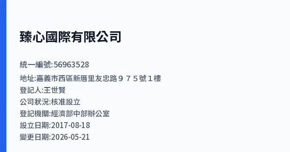 臻心國際有限公司的照片-統編 56963528(嘉義市) 公司登記資料與營業項目詳細圖表