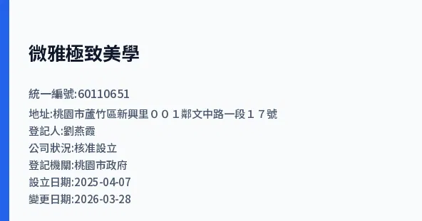 微雅極致美學的照片-統編 60110651(桃園市) 公司登記資料與營業項目詳細圖表