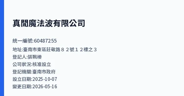 真閒魔法波有限公司的照片-統編 60487255(臺南市) 公司登記資料與營業項目詳細圖表