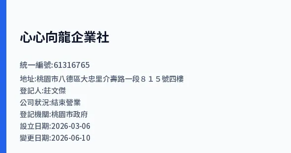 心心向龍企業社的照片-統編 61316765 公司登記資料與營業項目詳細圖表