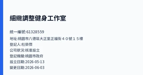 細緻調整健身工作室的照片-統編 61328559(桃園市) 公司登記資料與營業項目詳細圖表