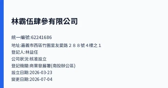 林霸伍肆參有限公司的照片-統編 62241686(嘉義市) 公司登記資料與營業項目詳細圖表