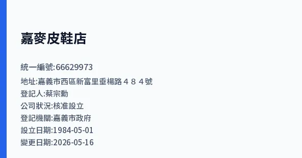 嘉麥皮鞋店的照片-統編 66629973(嘉義市) 公司登記資料與營業項目詳細圖表