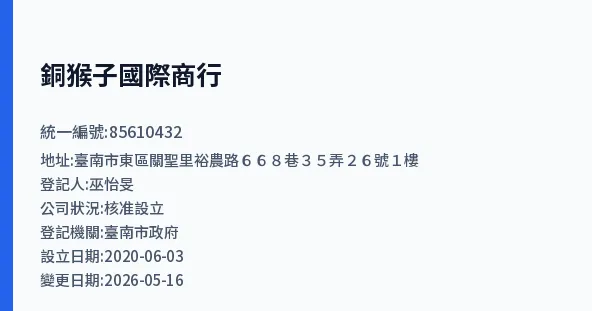 銅猴子國際商行的照片-統編 85610432(臺南市) 公司登記資料與營業項目詳細圖表