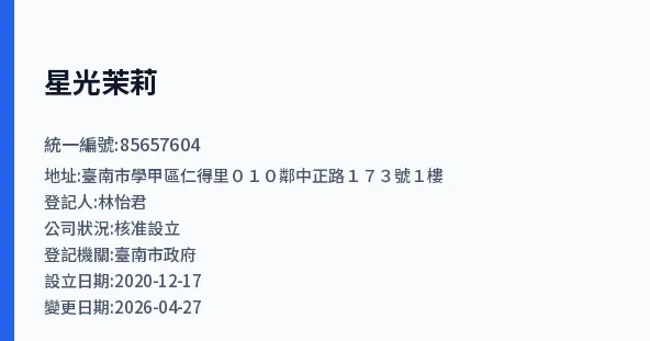 星光茉莉的照片-統編 85657604(臺南市) 公司登記資料與營業項目詳細圖表