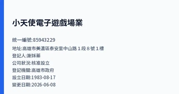 小天使電子遊戲場業的照片-統編 85943229(高雄市) 公司登記資料與營業項目詳細圖表