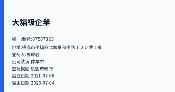 大貓級企業的照片-統編 87587393(桃園市) 公司登記資料與營業項目詳細圖表