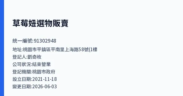 草莓妞選物販賣的照片-統編 91302948(桃園市) 公司登記資料與營業項目詳細圖表