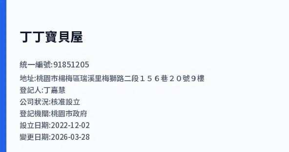 丁丁寶貝屋的照片-統編 91851205(桃園市) 公司登記資料與營業項目詳細圖表